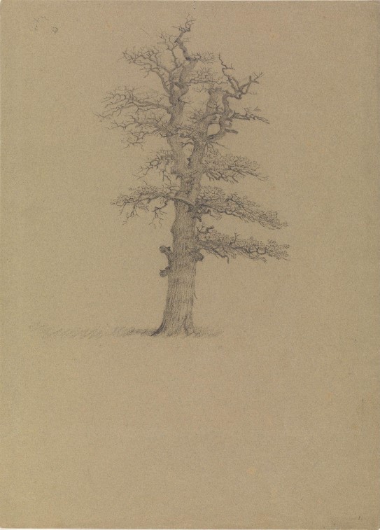 Caspar David Friedrich - Nasjonalmuseet