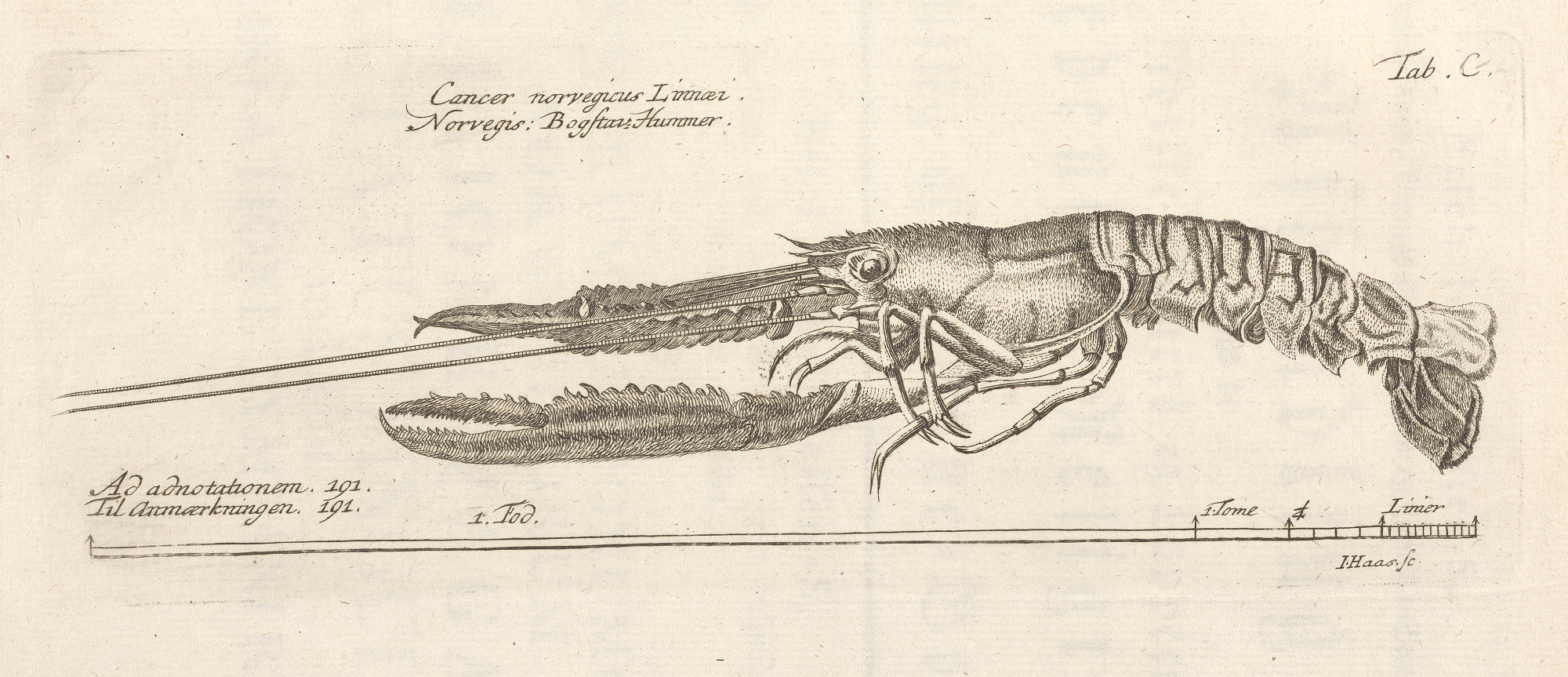 Knud Leems beskrivelser – Nasjonalmuseet