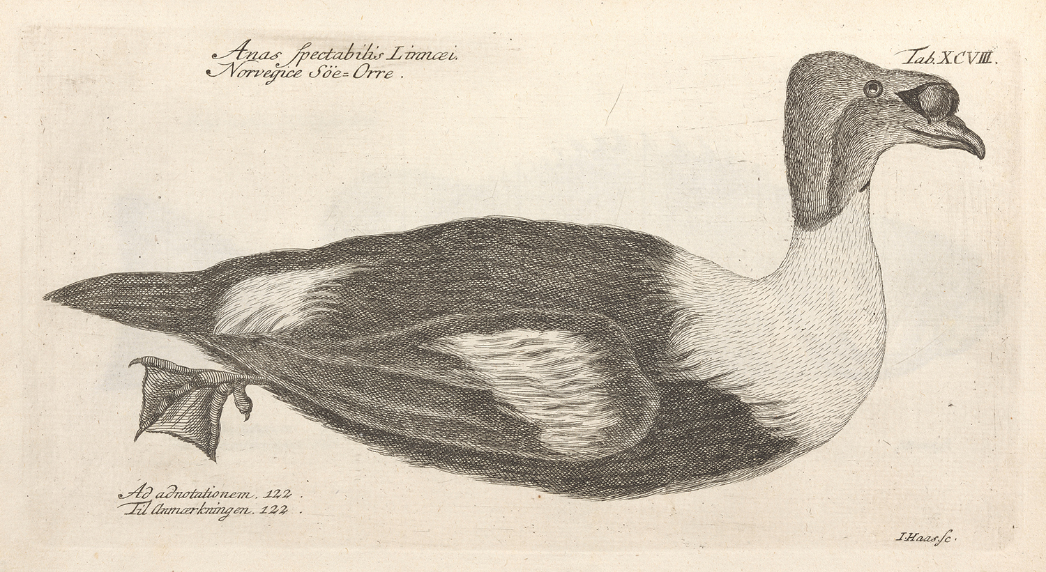 Knud Leems beskrivelser – Nasjonalmuseet