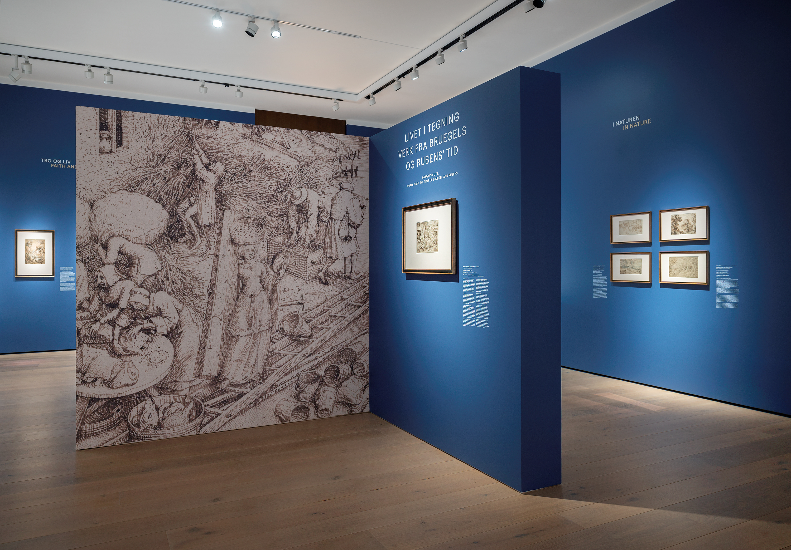 Drawn to Life. Works from the time of Bruegel and Rubens - Nasjonalmuseet